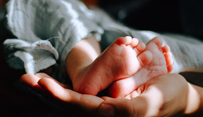 主页 | My Asian Donor